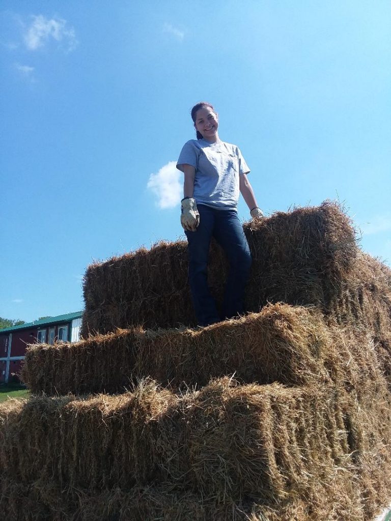 Shipping Containers as Seed/Hay Storage - USA-Containers